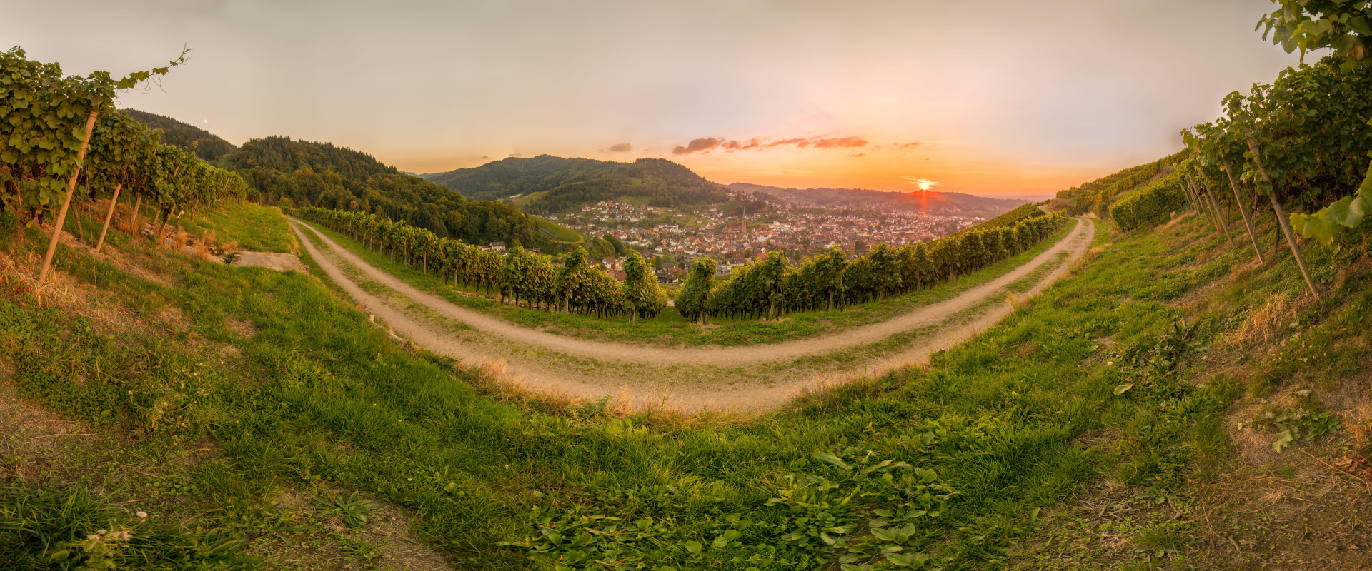Willkommen im Rotweindorf Kappelrodeck